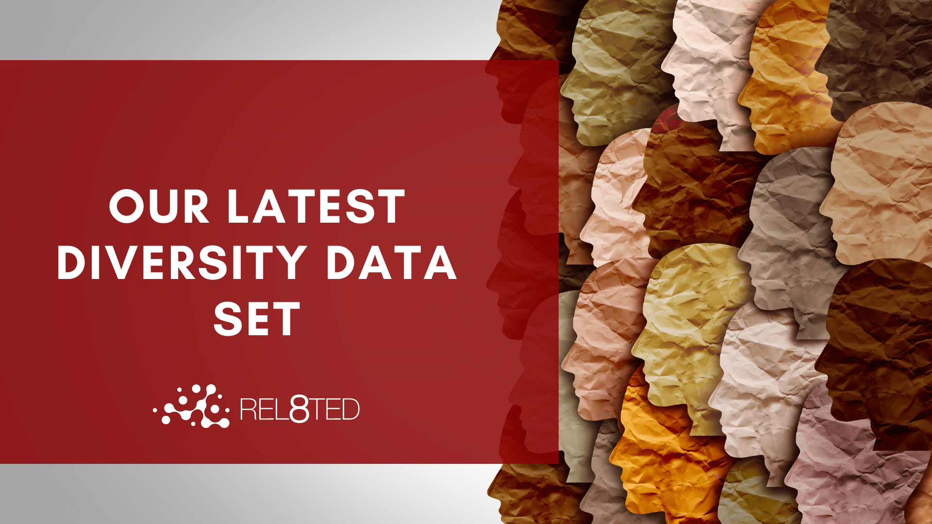 Our Latest Diversity Data Set - Rel8ed Analytics